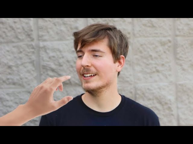 I Touched Mr. Beast Mustache
