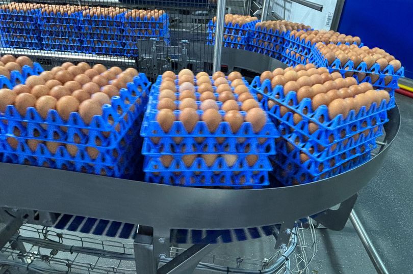 Inside the Lincolnshire village factory where 30 million eggs are ...