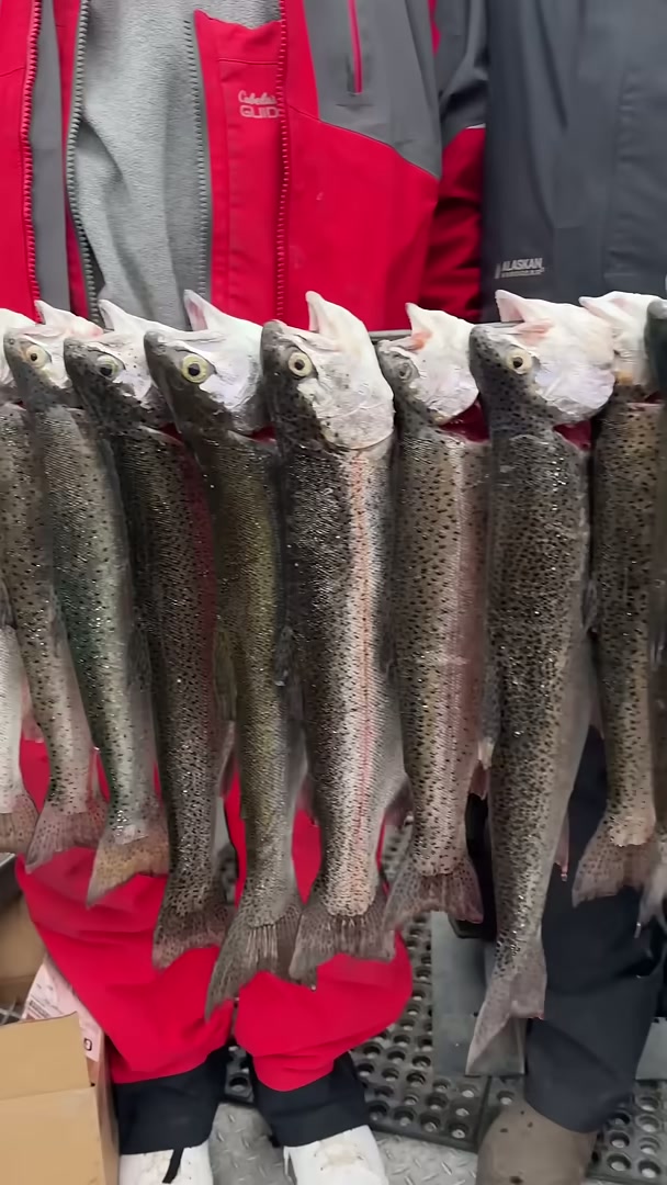 Limit goals set and smashed