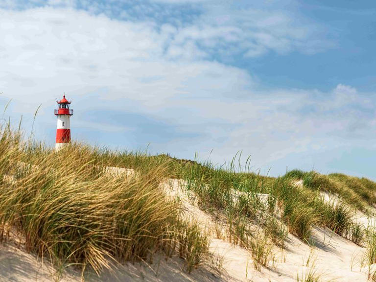 Dieser paradiesische Nordsee-Strand gilt als der schönste Geheimtipp