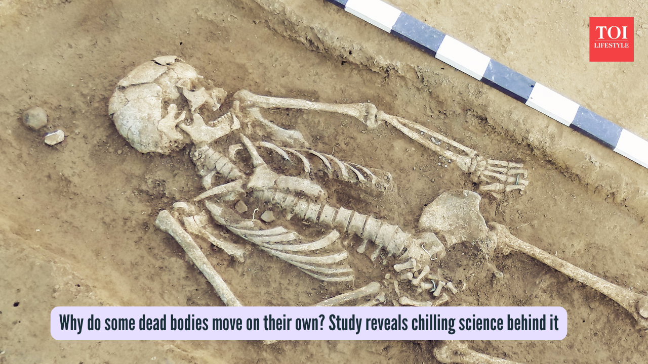 Why do some dead bodies move on their own? Study reveals chilling ...