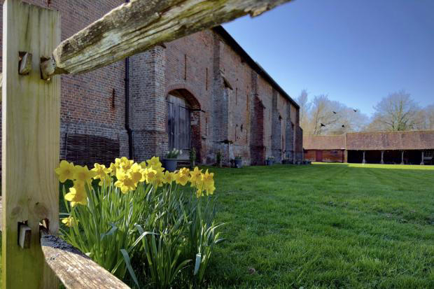 Signs of spring captured on a run is our Picture of the Week