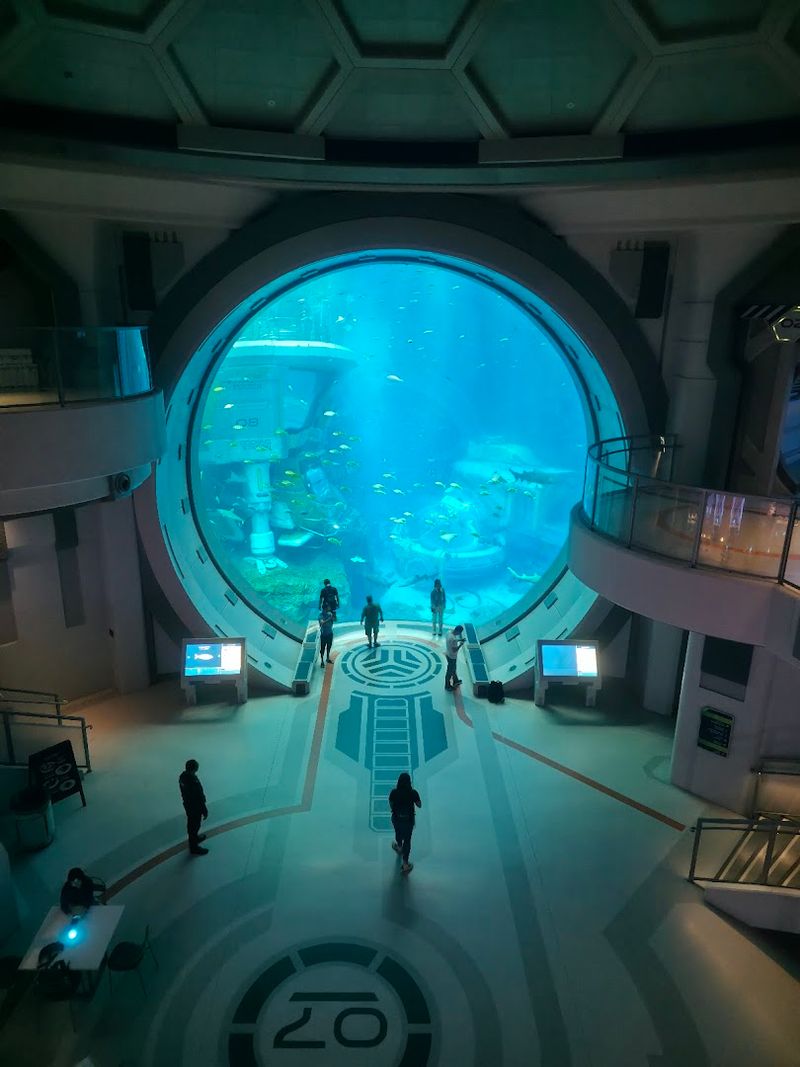 15 world aquariums with the largest tanks you have to see