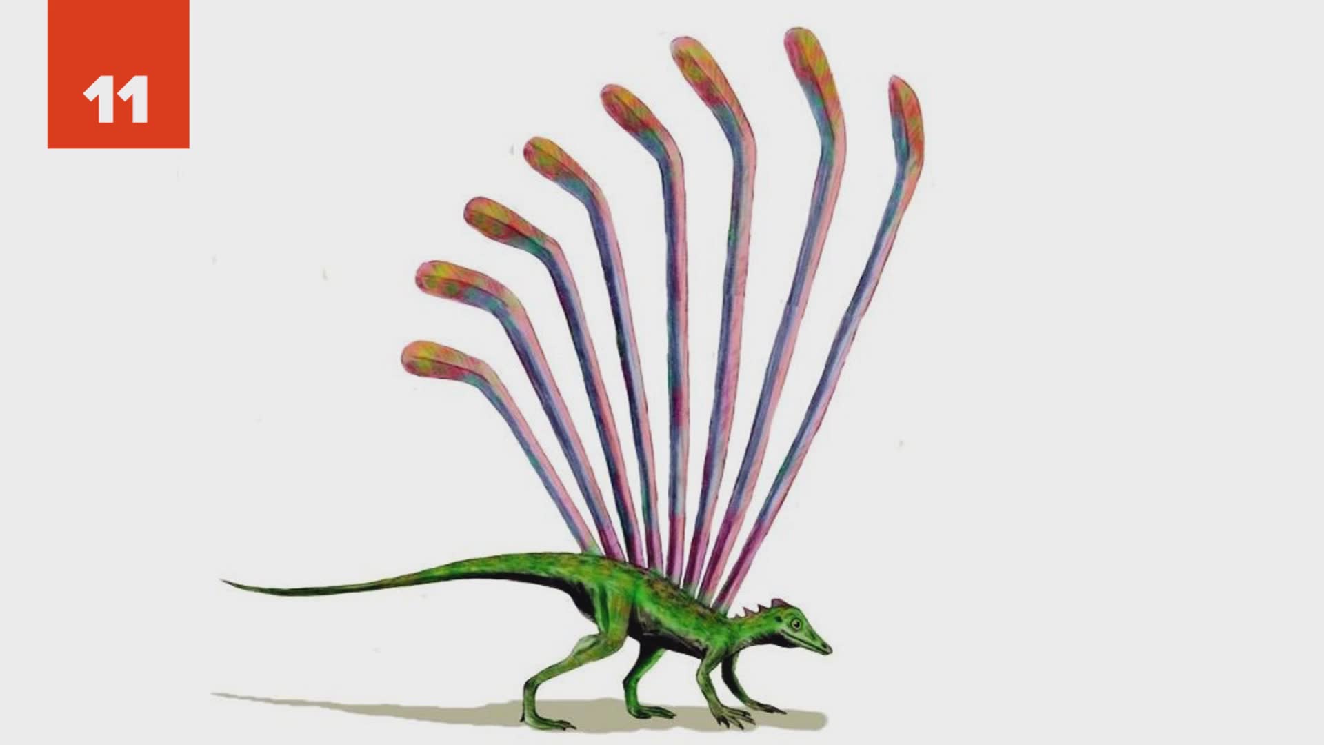 Prehistoric animals that might not have been nearly as scary as we think