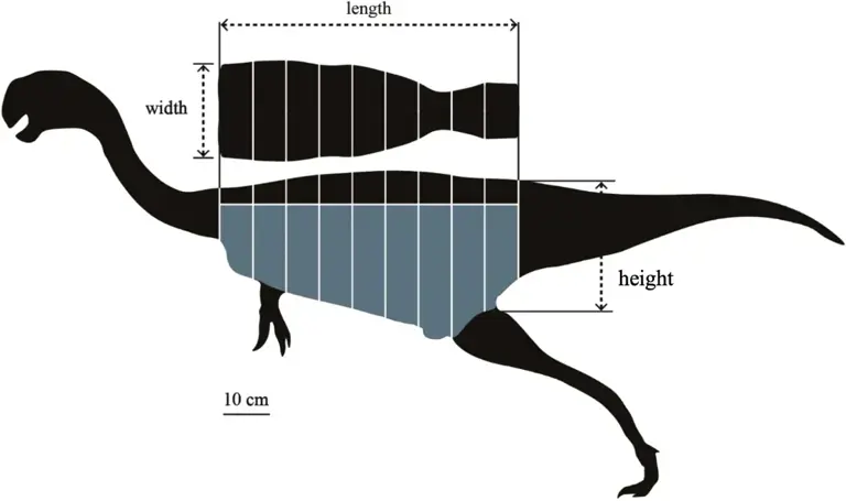 Scientists built a full-scale dinosaur nest and discover why the eggs ...