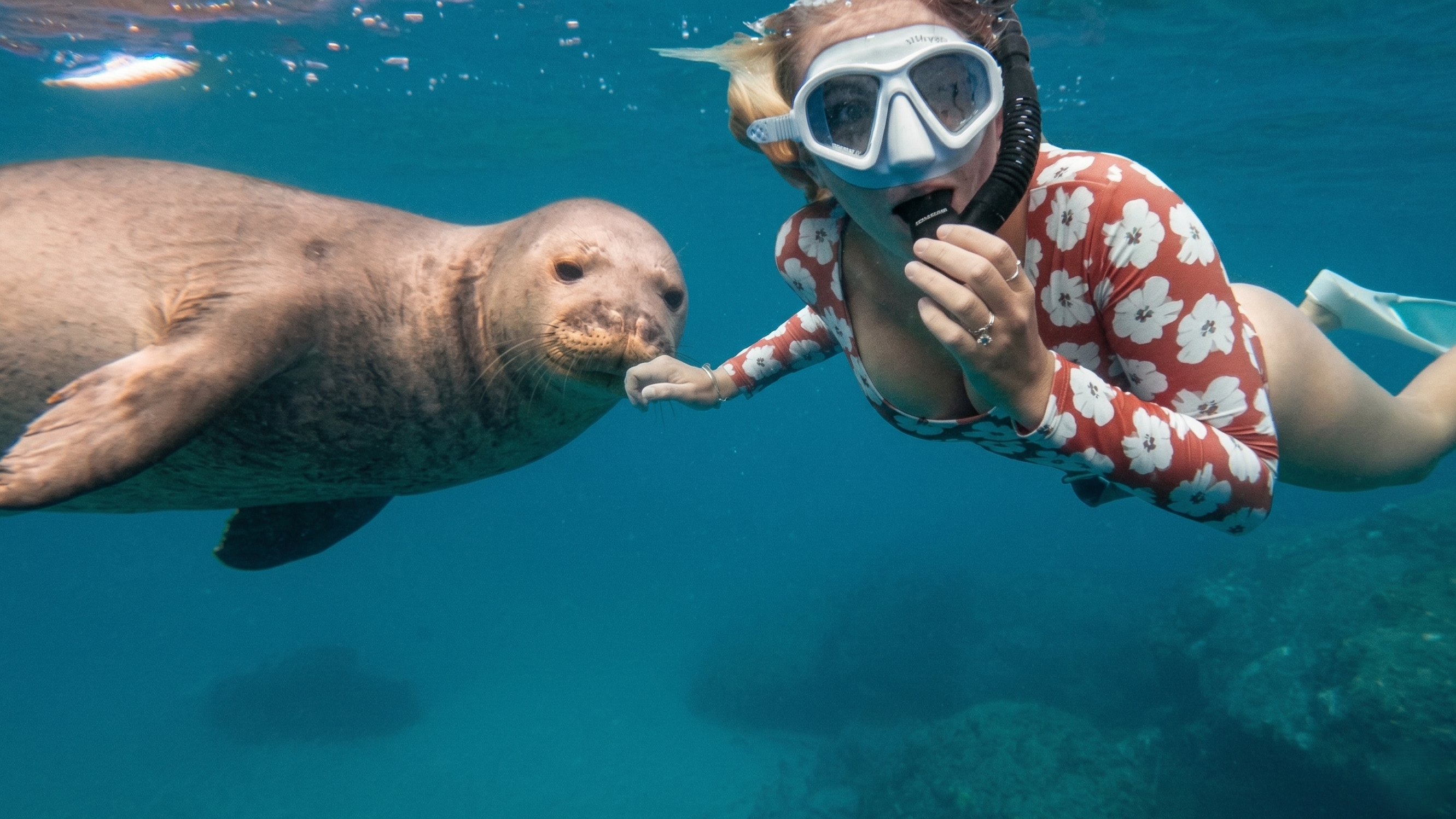 Watch what happens when a 600 lb seal sneaks up behind her