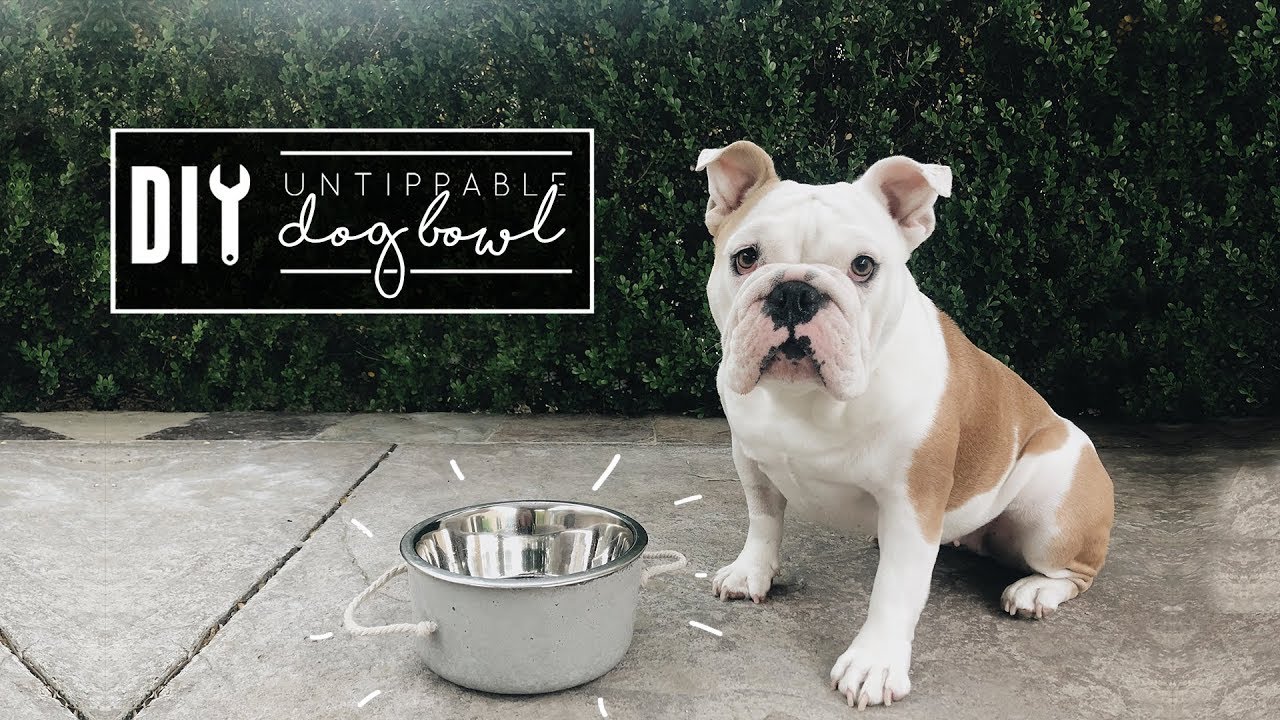 Create your own untippable dog bowl!