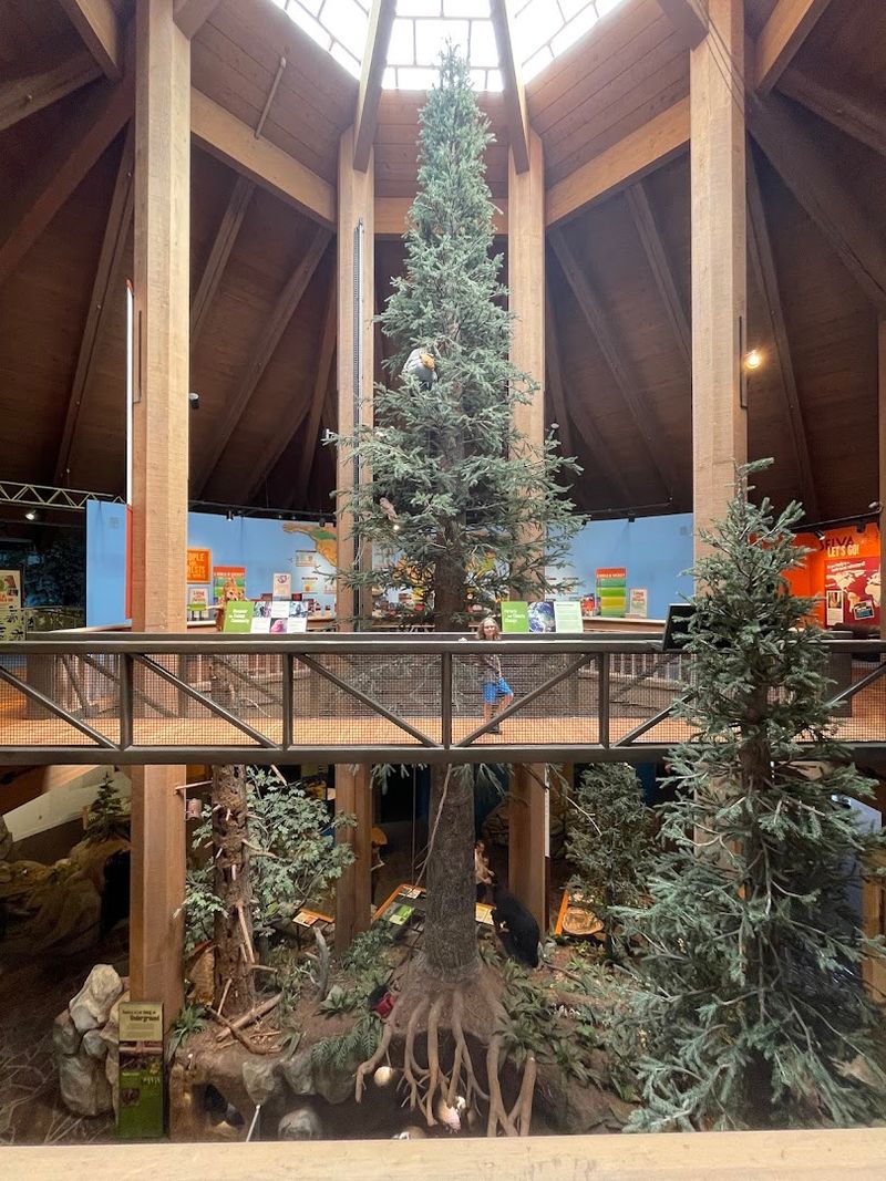 Tucked away in an Oregon forest sits a museum so beautiful it’s a ...