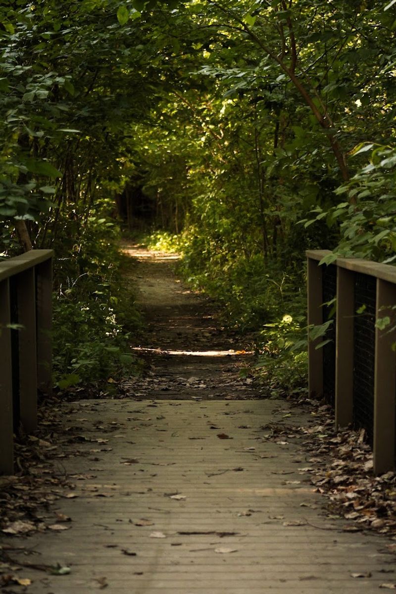 The enchanting New Jersey conservancy where every trail leads to a ...