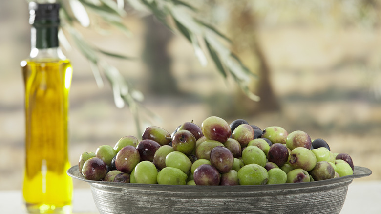 How many olives it takes to make a bottle of olive oil