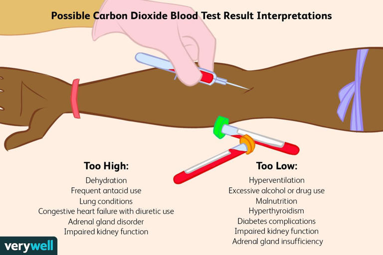 What does CO2 in a blood test mean?