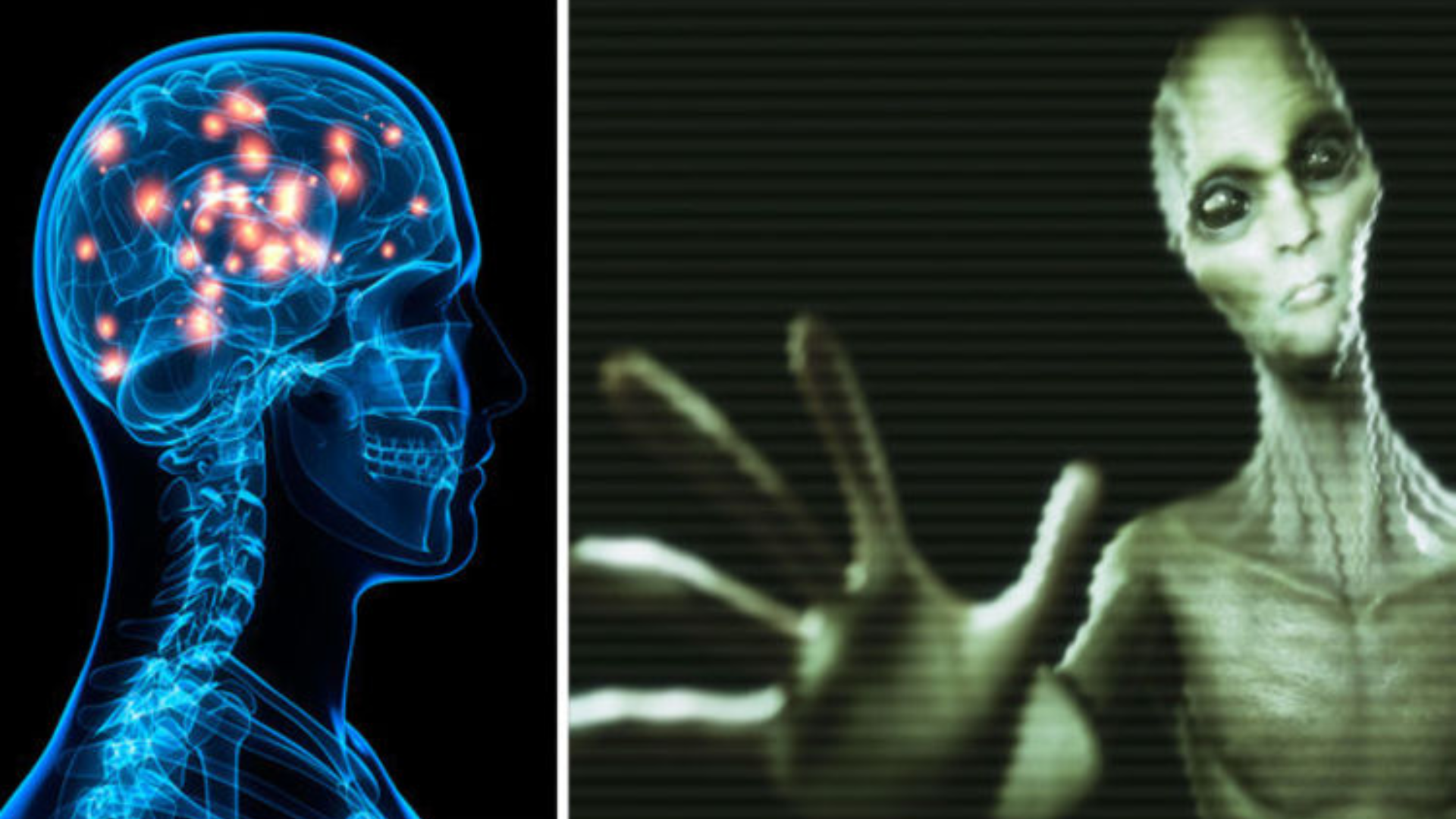 Who’s actually smarter: aliens, humans, or chimpanzees?
