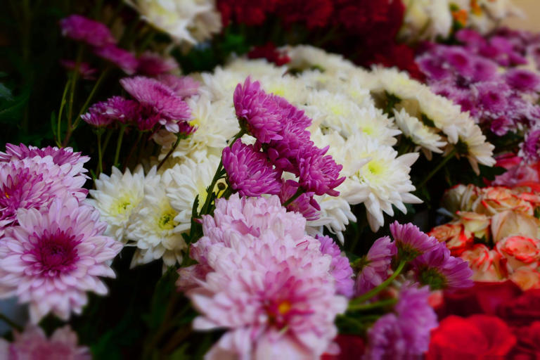Money stolen from flower shop till in Dunstable burglary