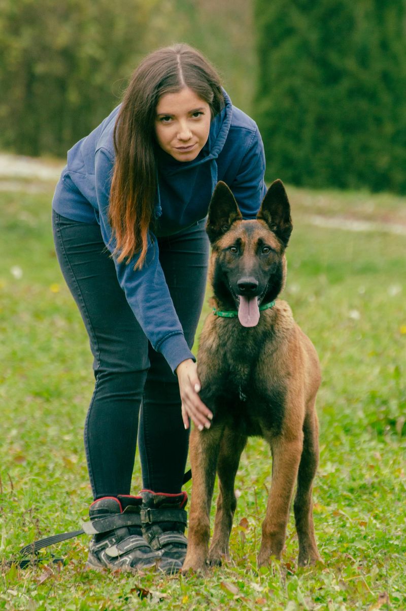 18 dog breeds that make "we'll figure it out later" a terrible strategy