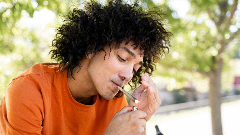 Why does cannabis give people 'the munchies'?