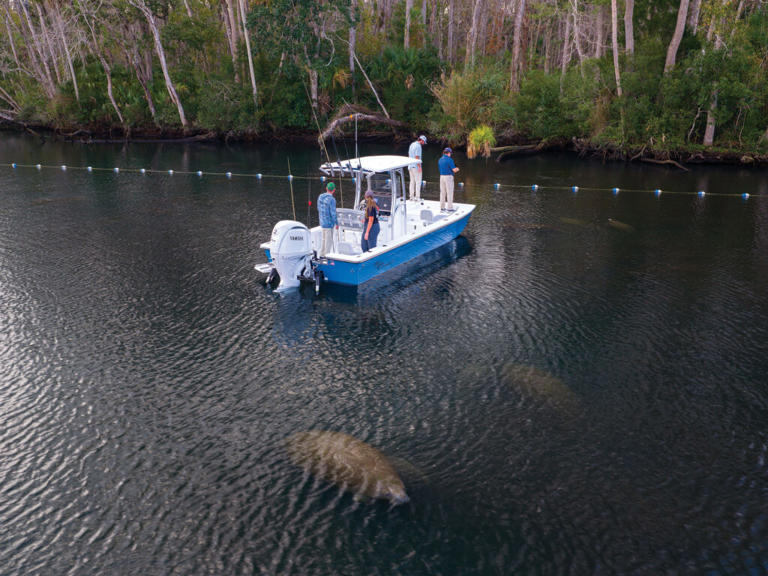 The pros of running a flat-bottomed boat