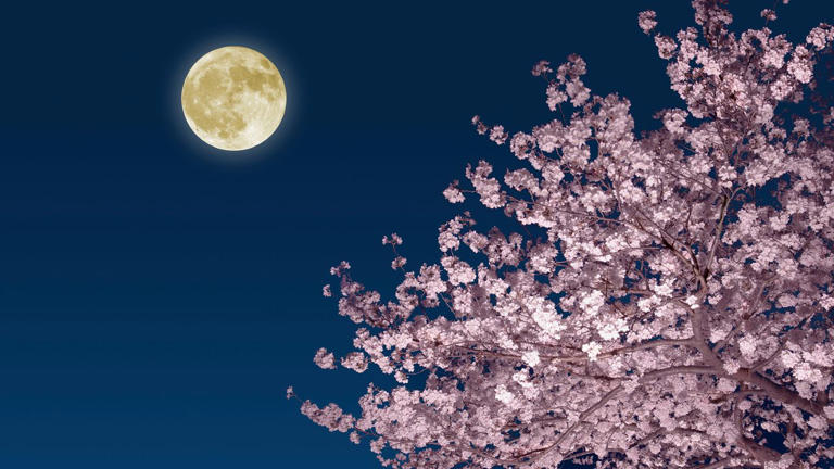 Moonlight colors: How to catch the full 'pink moon' in April followed ...