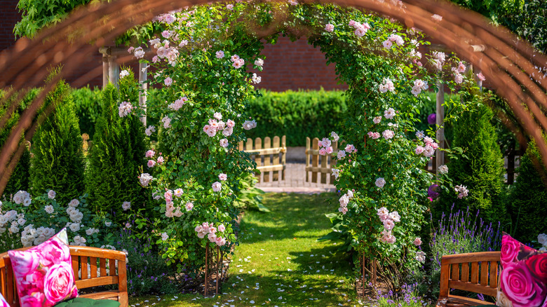 15 ideas to spice up a boring garden