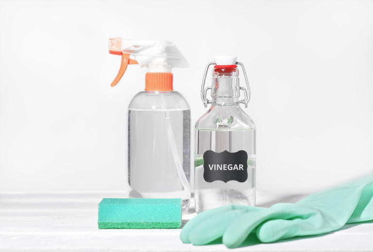 The easiest way to finally clean a greasy kitchen backsplash