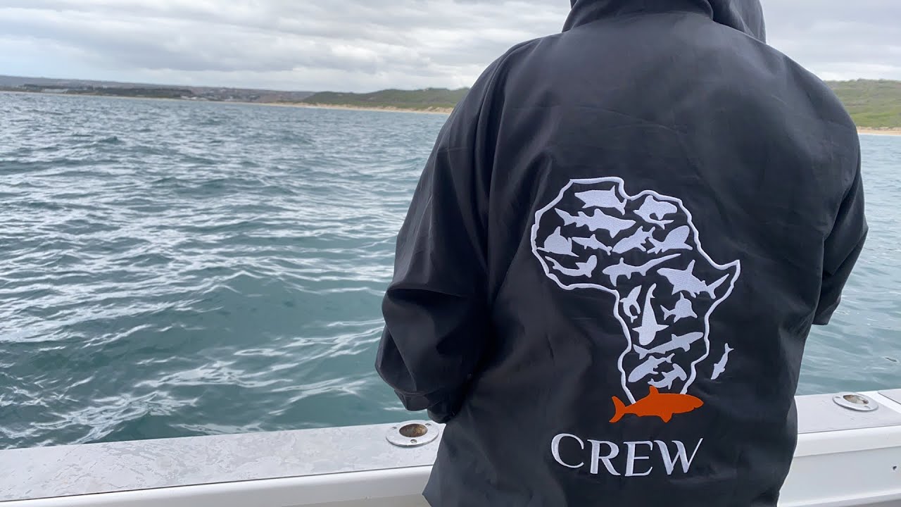 Searching for great white sharks in Mossel Bay: Ocean adventure with ...