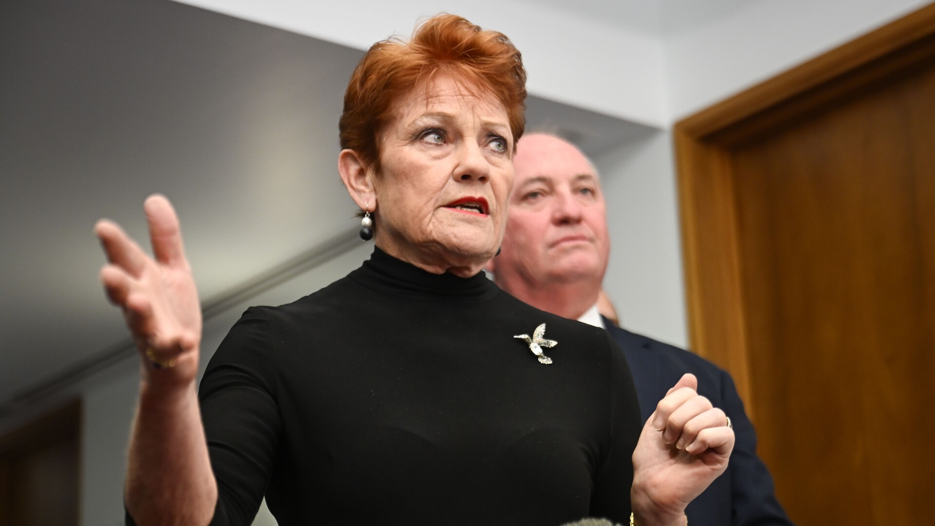 'Unprecedented' One Nation win in South Australia labelled 'extraordinary'