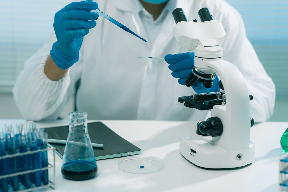 Universidade de Aveiro desenvolve nanocápsulas de carbono para ...