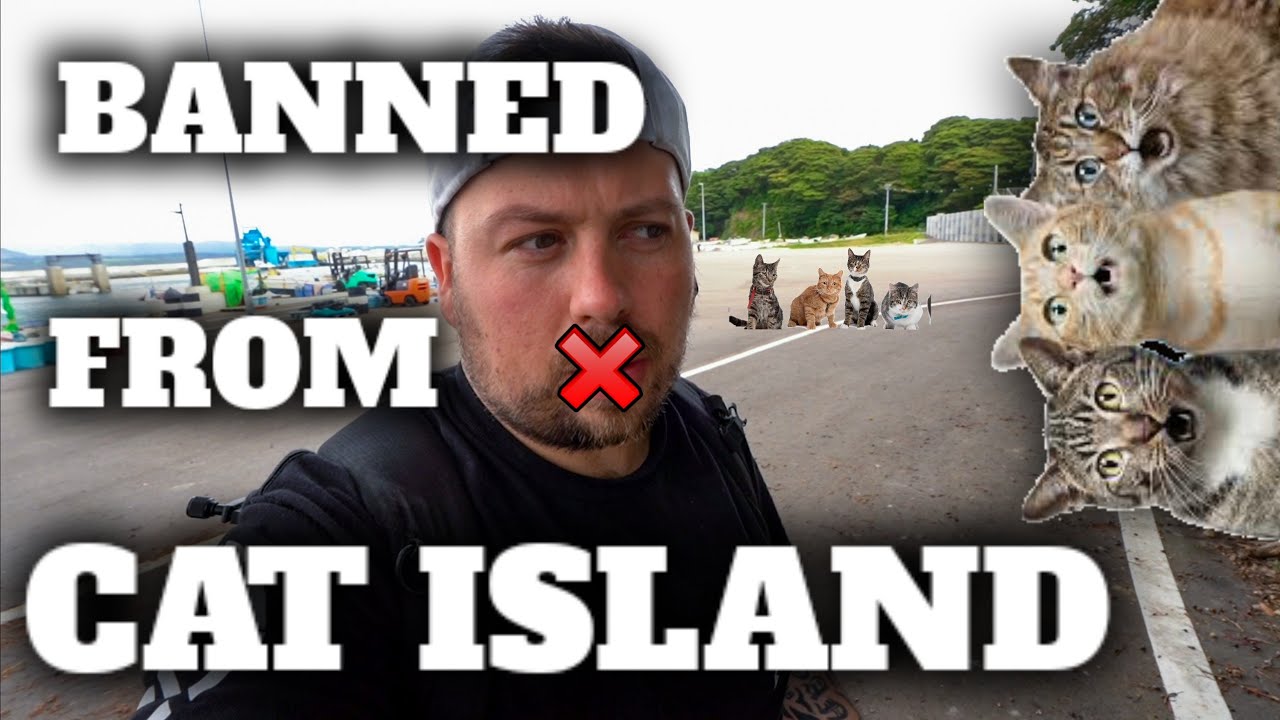 I got banned from cat island in Japan 😱