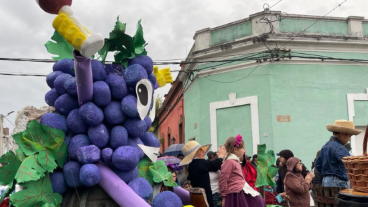 Rodríguez celebra la 30ª Fiesta de la Uva y el Vino: tres días de ...