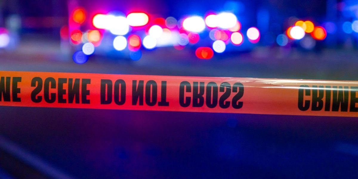 Cops chasing 50 pigs after wild neighborhood rat invasion leads to arrest