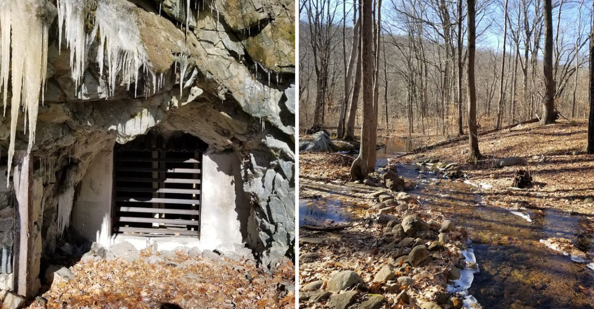 The rugged New Jersey ridge guarding the state’s most important bat ...