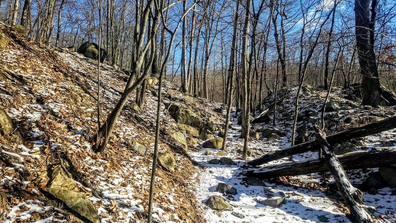 The rugged New Jersey ridge guarding the state’s most important bat ...