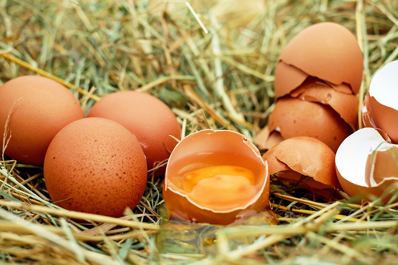 16 raw foods that might not be safe to eat