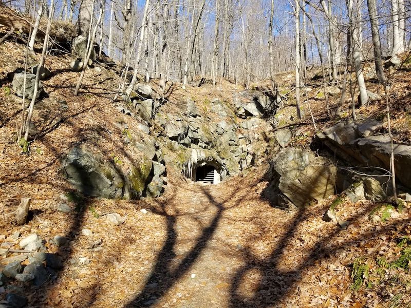 The rugged New Jersey ridge guarding the state’s most important bat ...