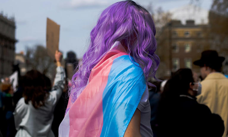 Tennessee bill to track transgender medical data passes the House ...