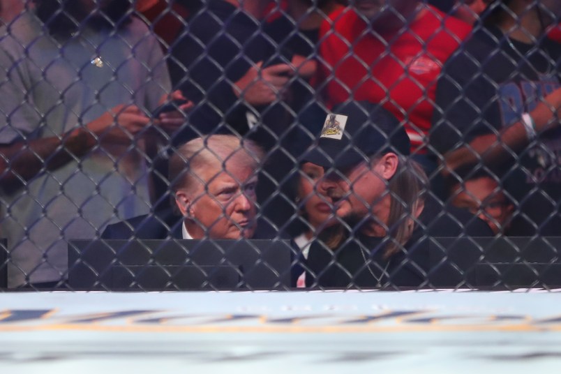 MAGA’s infatuation with MMA is part of a long history between combat ...