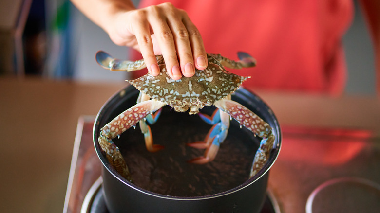 The absolute best uses for your stockpot