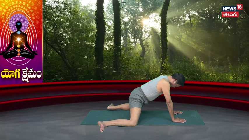 Frog pose yoga for pelvic health: పెల్విక్ హెల్త్ కోసం.. కప్ప యోగాసనం ...