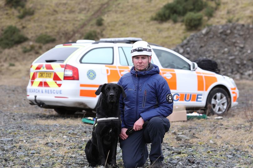 Service dog 'kicked several times' in brutal gang attack as 'feral ...