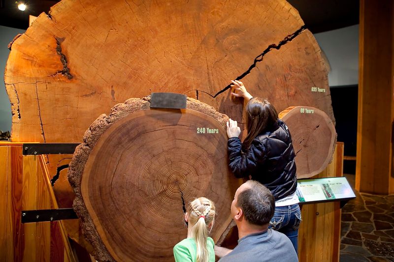 Tucked away in an Oregon forest sits a museum so beautiful it’s a ...