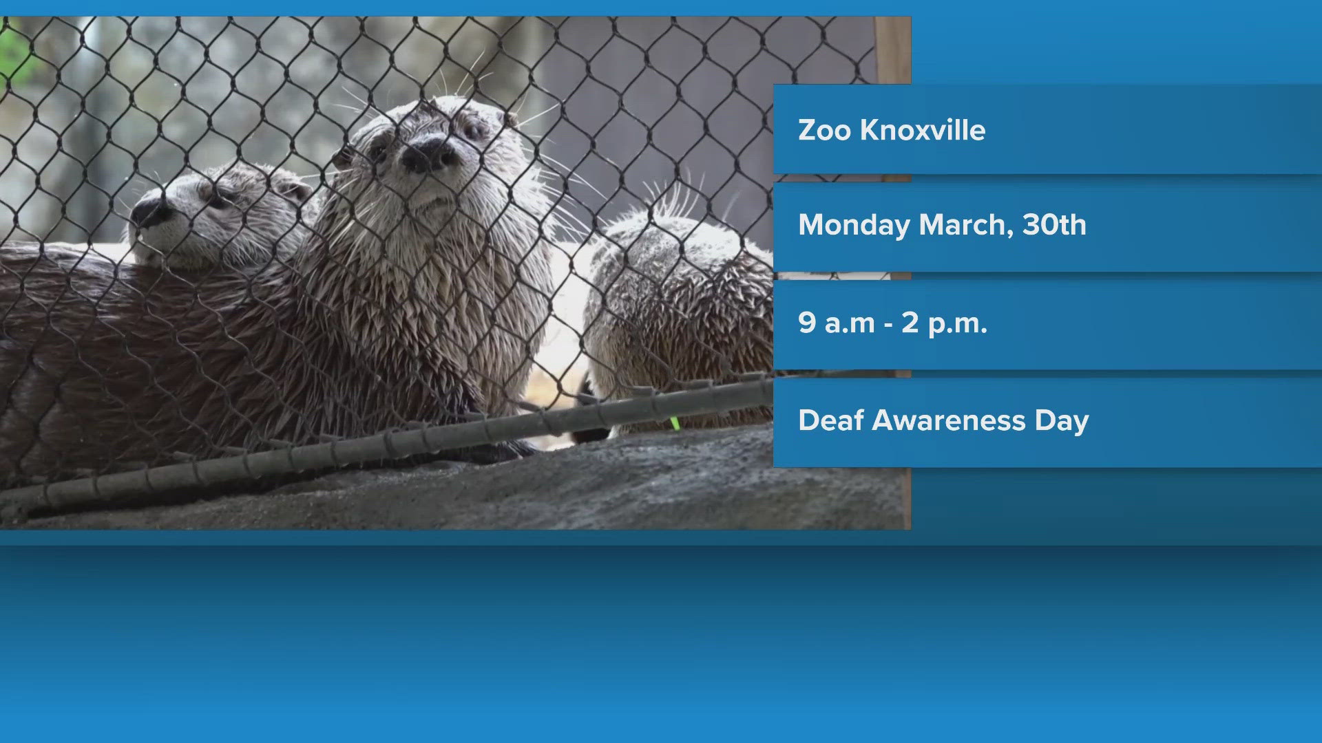 Zoo Knoxville celebrates Deaf Awareness on Monday