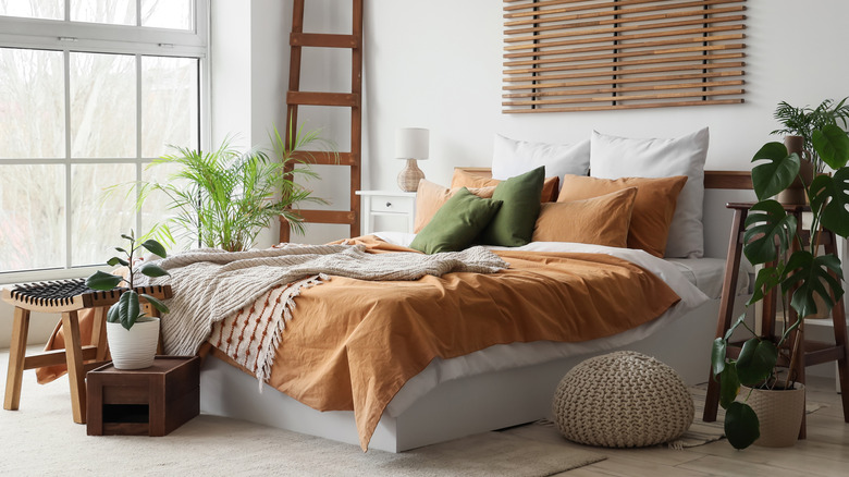 Turn an old blanket ladder into a stunning houseplant display