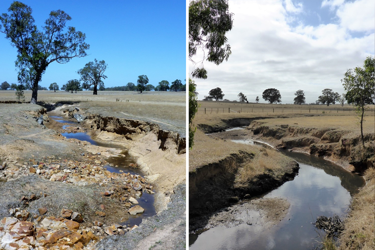 Incredible photos reveal 10-year transformation along decaying Aussie creek