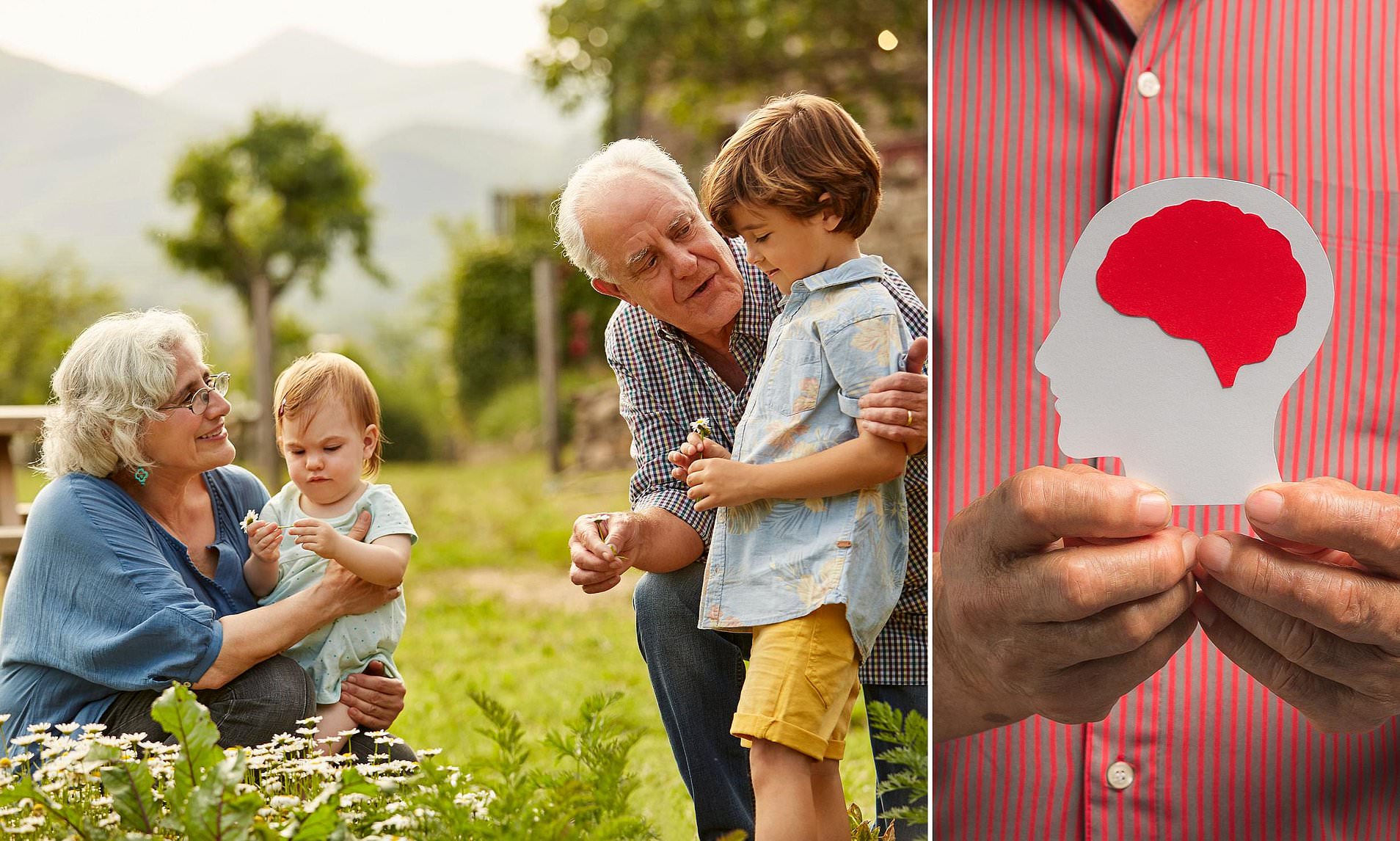 At ease! Having a happy family life can help reduce the risk of ...