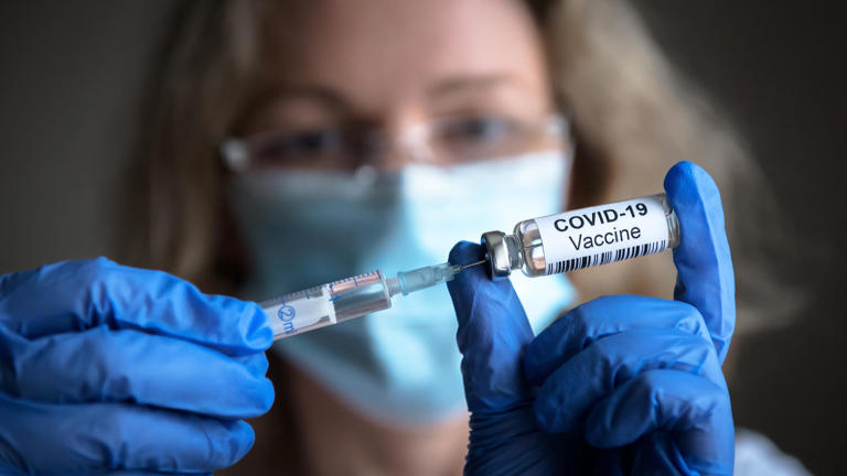 Commissione Covid, scontro su vaccini e monoclonali. Rezza: "Grazie ai ...