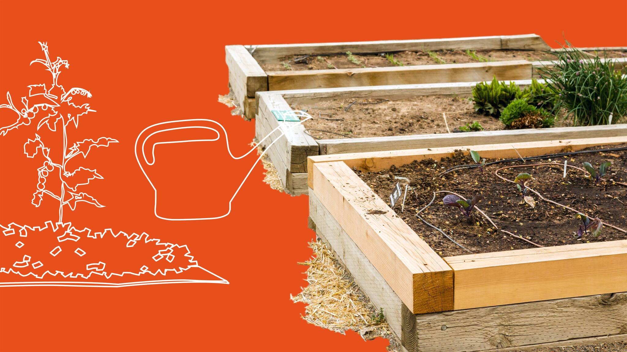 No-dig-gardening: So funktioniert das Gärtnern ohne Umgraben