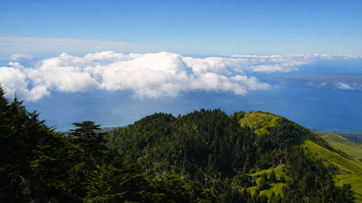 Colline verdi che emergono sopra le nuvole vicino al mare aperto