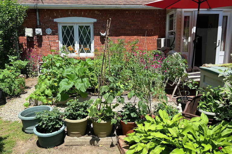 Nobody said vegetable gardens must be in the backyard. Put them out ...