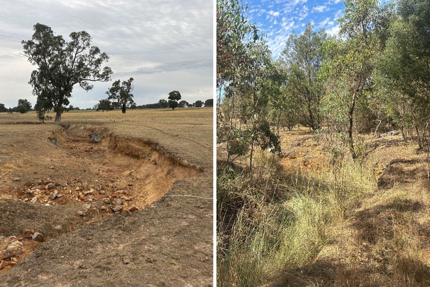 Incredible 10-year transformation along decaying creek on Aussie property