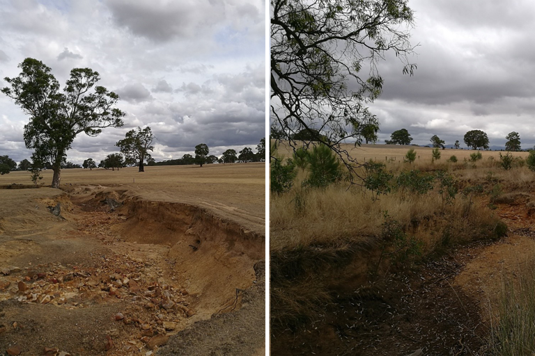Incredible photos reveal 10-year transformation along decaying Aussie creek