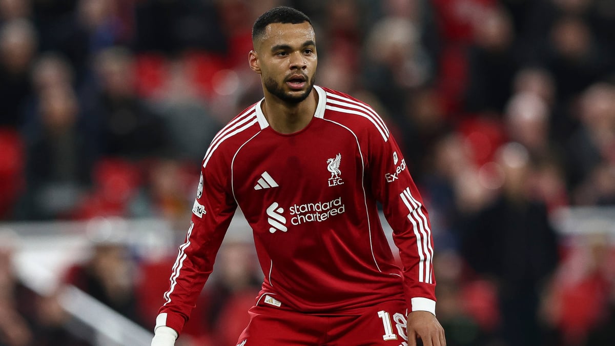 Liverpool told whether they could use Cody Gakpo in a swap deal for £ ...